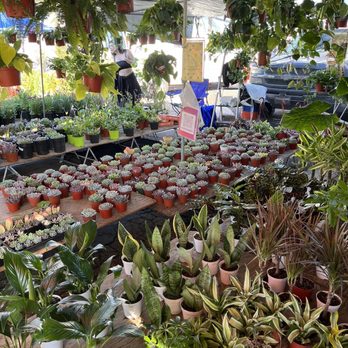 SPRING VALLEY SWAP MEET - Updated December 2025 - 440 Photos & 199 ...