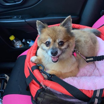 STYLE MUTT - Updated December 2025 - 33 Photos & 74 Reviews - 3525 ...