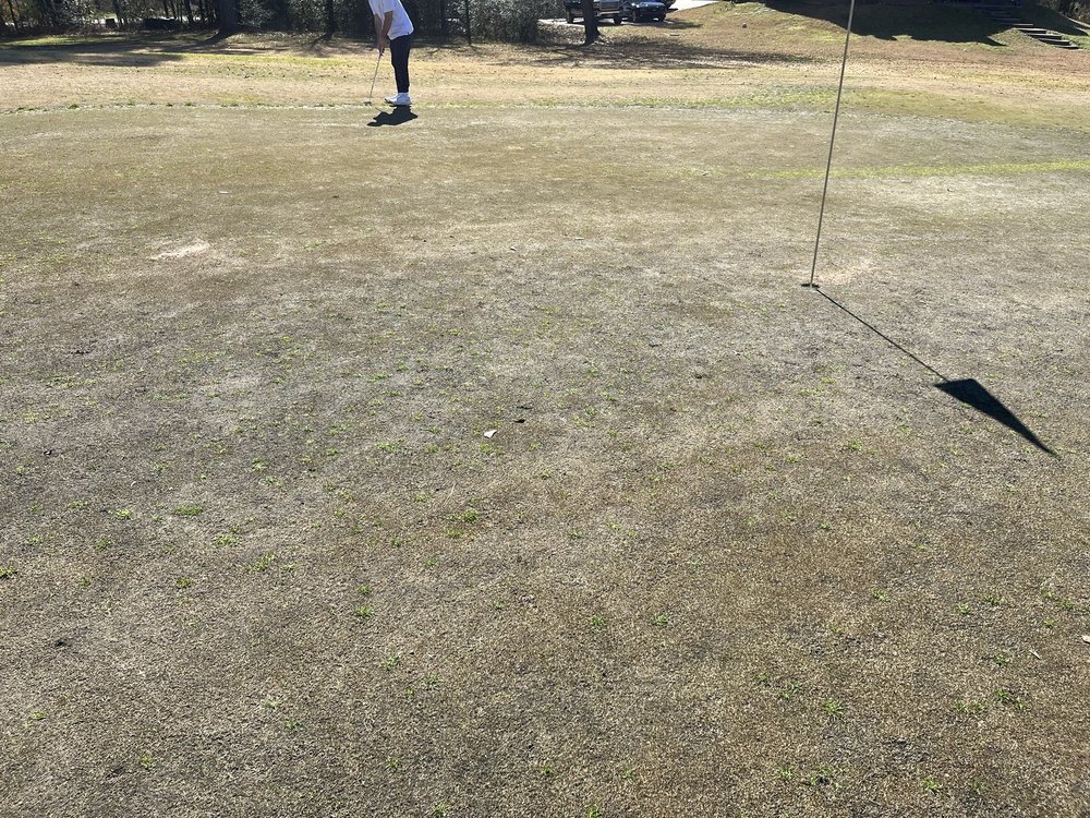 RIVER PLANTATION GOLF CLUB - Updated March 2025 - 23 Photos & 42 ...