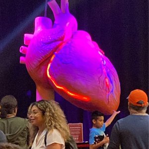 THE HEALTH MUSEUM - 329 Photos & 126 Reviews - 1515 Hermann Dr, Houston ...