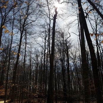 FOWLER WOODS STATE NATURE PRESERVE - Updated May 2025 - 12 Photos ...