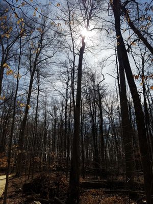 FOWLER WOODS STATE NATURE PRESERVE - Updated May 2025 - 12 Photos ...