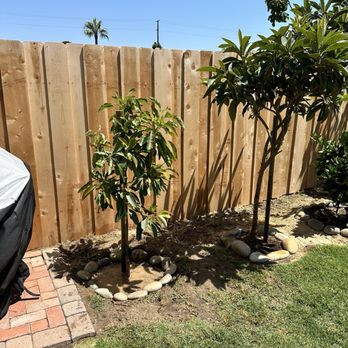 CLAUSEN NURSERY - Updated July 2025 - 108 Photos & 97 Reviews - 3132 ...