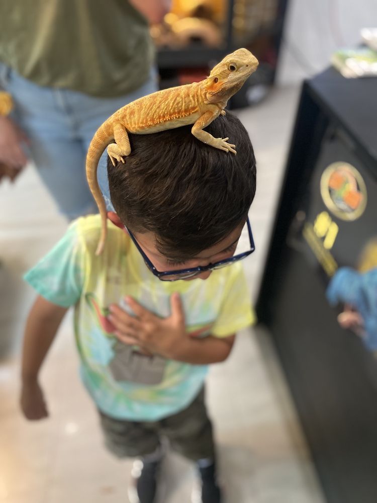 MIAMI REPTILE COMPANY - Updated December 2025 - 39 Photos & 36 Reviews ...