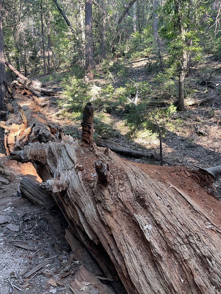 WILL ABELL MEMORIAL TRAIL AT ARROWHEAD RIDGE - Updated May 2026 - 60 ...