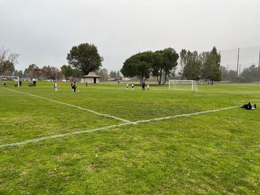 CENTRAL PARK SOCCER FIELDS - Updated October 2025 - 15 Photos - 1110 ...