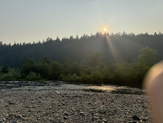 CEDAR BLOOM FARM - Updated January 2026 - 29 Photos - 160 Ollis Rd ...