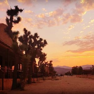 YUCCA BOWL - Updated June 2025 - 20 Photos & 46 Reviews - 58146 29 ...