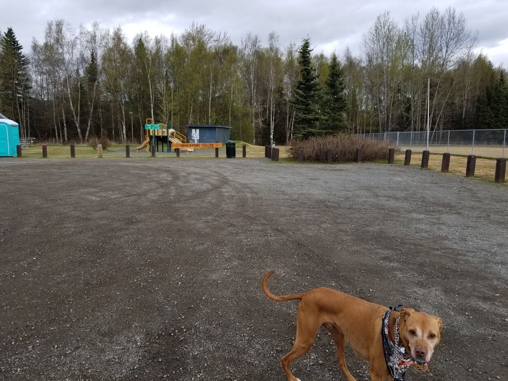 DAVENPORT BASEBALL FIELDS - Updated December 2025 - 2201 Lake Otis Pkwy ...