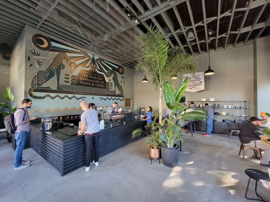 THE BOY AND THE BEAR - Updated July 2024 - 280 Photos & 183 Reviews ...