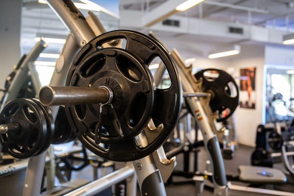 NORTH BRIDGE FITNESS - Updated July 2024 - 36 Photos - 515 N Flagler Dr ...