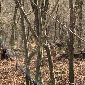 BLUE HOLE - Sugar Hollow Rd, Charlottesville, Virginia - Hiking - Yelp