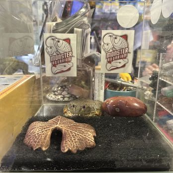 MONSTER AQUARIUM - Updated April 2025 - 68 Photos & 130 Reviews - 131 ...