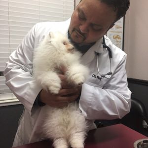TRACY VETERINARY MEDICAL CENTER - 13 Photos - 2752 Naglee Rd, Tracy ...