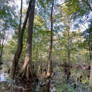 STUMPY LAKE NATURAL AREA - 238 Photos & 17 Reviews - 4794 Indian River ...