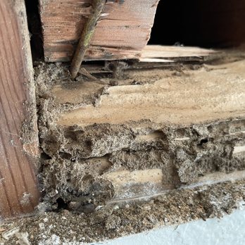 PACIFIC COAST TERMITE - Updated September 2024 - 32 Photos & 244 ...