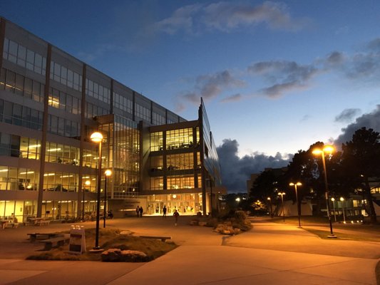 SFSU - J. PAUL LEONARD LIBRARY - Updated October 2025 - 62 Photos & 53 ...