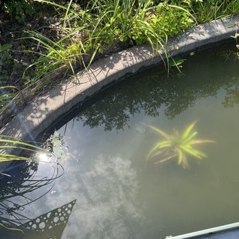 LONG KEY NATURAL AREA & NATURE CENTER - Updated February 2025 - 300 ...