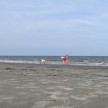 DRIESSEN BEACH PARK - Updated December 2025 - 50 Photos & 14 Reviews ...