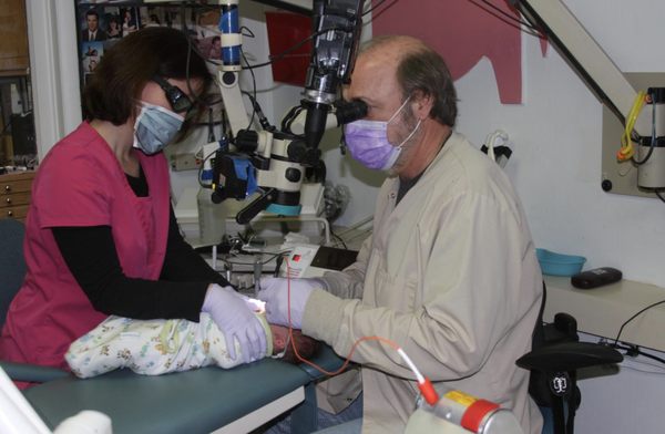 LAWRENCE A. KOTLOW, DDS, PC - Updated December 2025 - 20 Photos & 12 ...