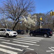 TOMPKINS SQUARE PARK - 1176 Photos & 186 Reviews - E 10th St, New York ...