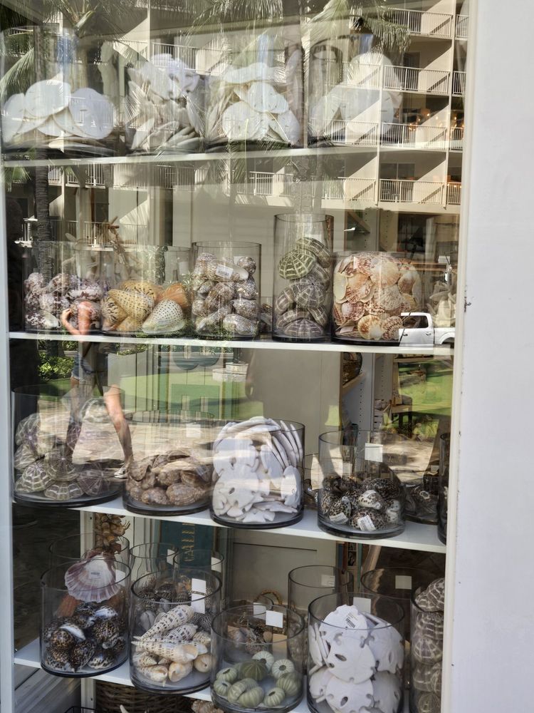 SOHA LIVING - Updated December 2025 - 41 Photos & 13 Reviews - 2005 ...