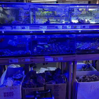 CK FISH WORLD - 403 Photos & 427 Reviews - 541 North Azusa Ave, West ...