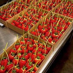 RUSTIC ROOTS - Updated December 2024 - 120 Photos & 115 Reviews - 20 ...