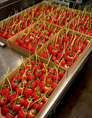 RUSTIC ROOTS - Updated August 2025 - 154 Photos & 139 Reviews - 20 ...