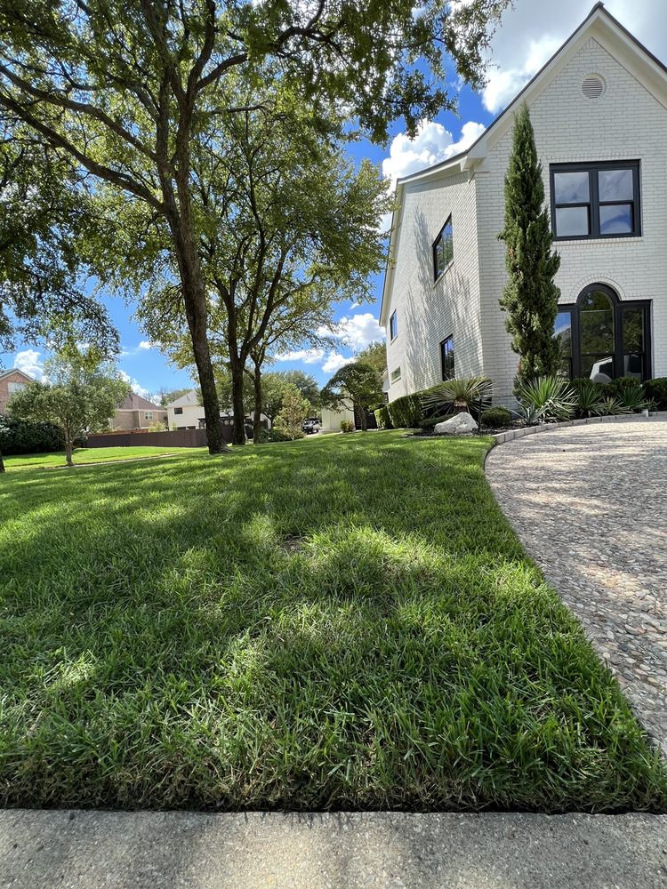 TEX TURF SOD - Updated January 2026 - 15 Reviews - 7701 Davis Blvd ...