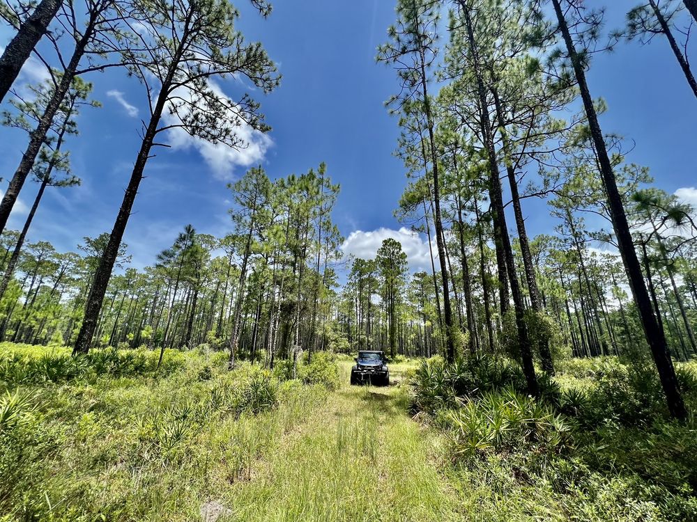 GOETHE STATE FOREST - Updated November 2025 - 9110 SE County Rd ...