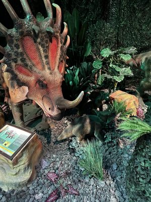 DINOS ALIVE - 524 Rhode Island Ave NE, Washington, District of Columbia ...