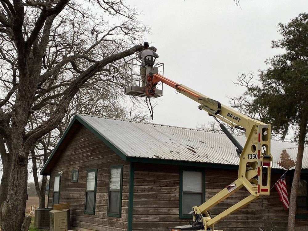 BEAR LANDSCAPING - Updated August 2025 - Request a Quote - 28 Photos ...