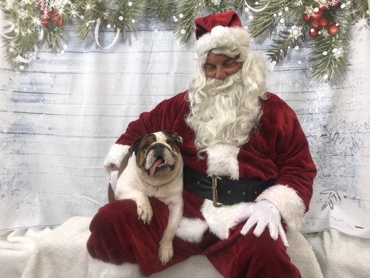PET HELPERS - 29 Photos & 33 Reviews - 1447 Folly Rd, Charleston, South ...