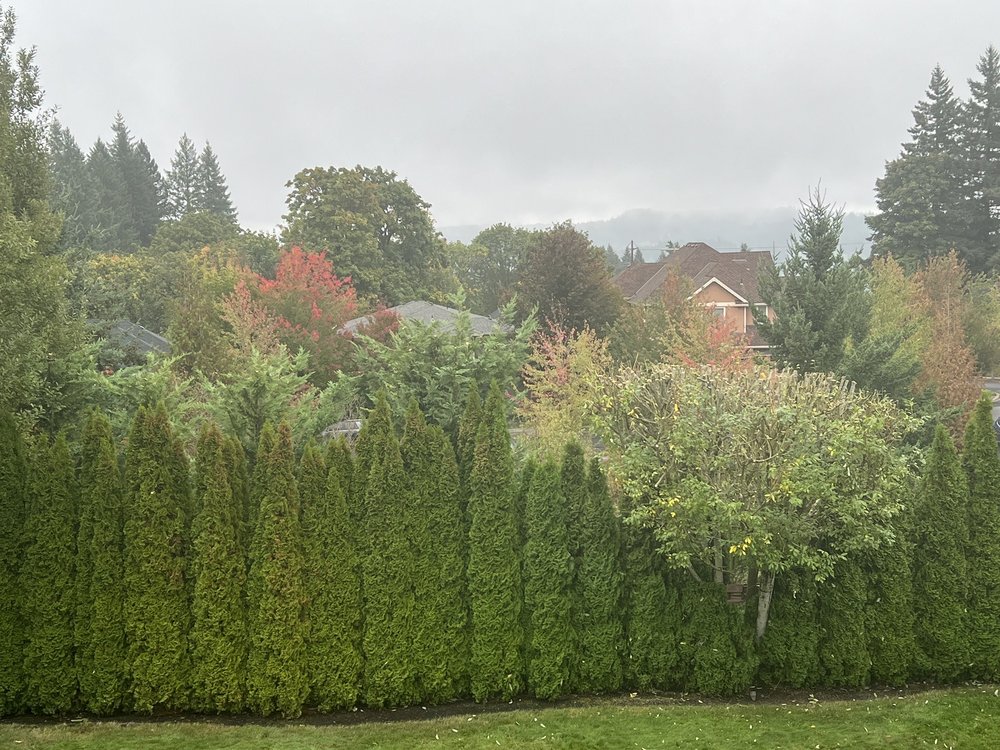 TREEKEEPER TREE SERVICE - Updated July 2025 - 18 Reviews - 15550 SE Royer Rd, Damascus, Oregon ...