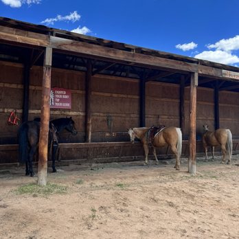 M LAZY C RANCH - Updated December 2025 - 155 Photos & 35 Reviews - 801 ...