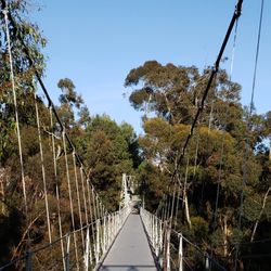 SPRUCE STREET SUSPENSION BRIDGE - 790 Photos & 328 Reviews - Landmarks ...