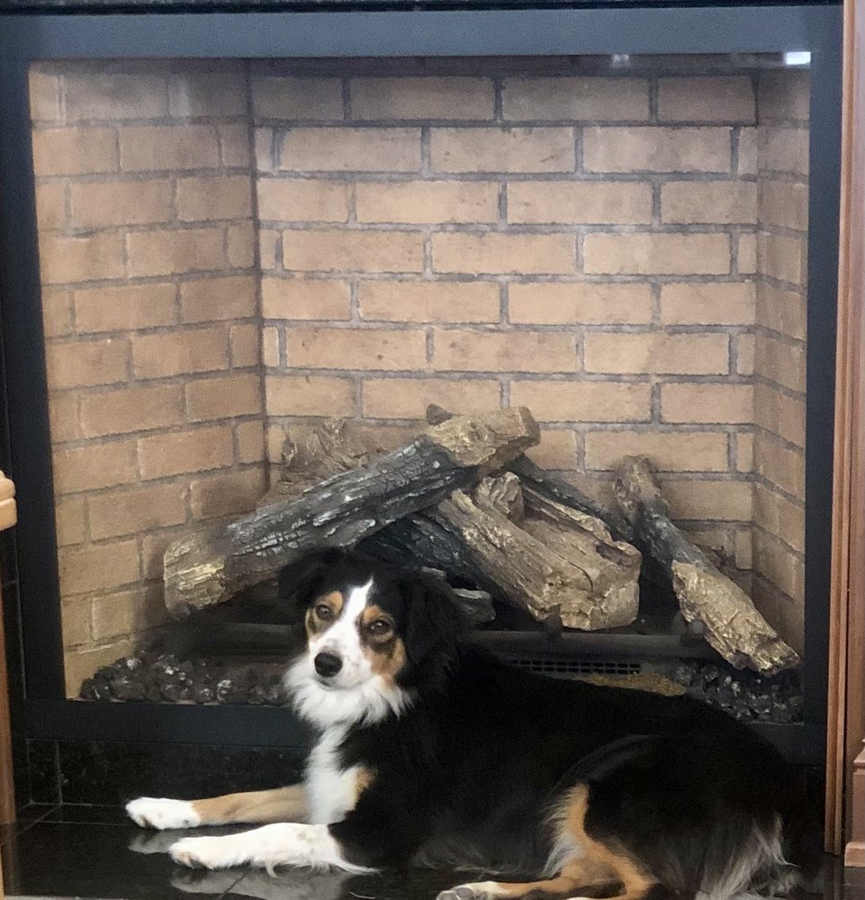 CAMP BOW WOW - Updated January 2026 - 15 Photos & 57 Reviews - 8121 S ...