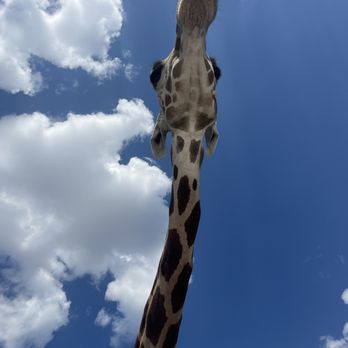 FOSSIL RIM WILDLIFE CENTER - Updated June 2024 - 1198 Photos & 347 ...