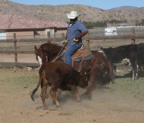 DOUBLE 6 RANCH - Updated November 2025 - 23722 Yucca Loma Rd, Apple ...