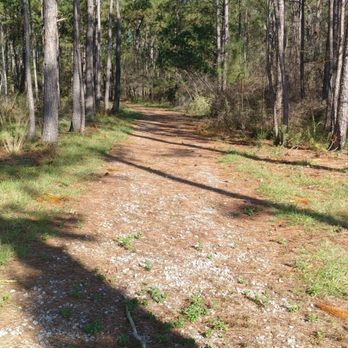 5 RIVERS - ALABAMA’S DELTA RESOURCE CENTER - Updated December 2025 ...