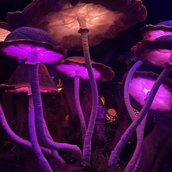 DREAMWALK PARK - Updated April 2025 - 59 Photos - 575 E University Pkwy ...