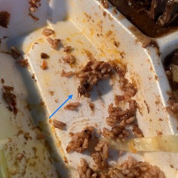 MP ISLAND CAFE - Updated September 2024 - 210 Photos & 245 Reviews ...