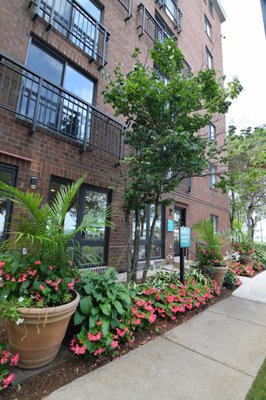 HARBOR POINT ON THE BAY - 80 Photos & 82 Reviews - 24 Oyster Bay Rd ...