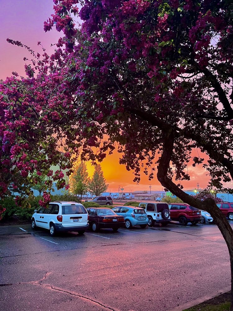 CYT - SPOKANE - Updated December 2025 - 3901 E Main, Spokane ...