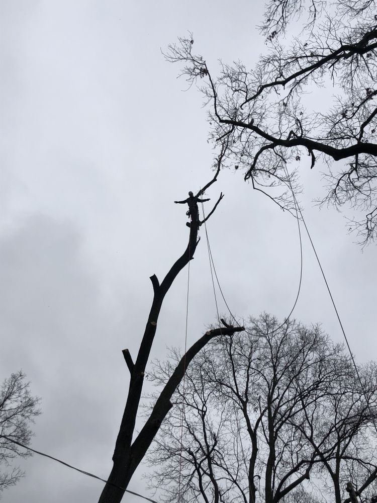 EXTREME TREE WORKS - Updated August 2025 - 885 Q Dr S, Fulton, Michigan ...