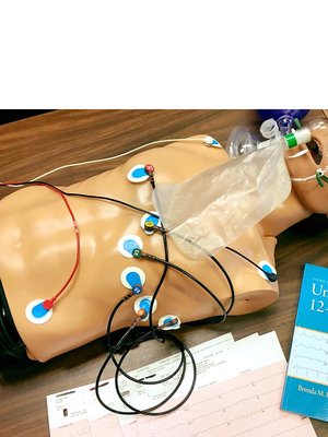 HEARTSHARE TRAINING SERVICES - Updated October 2025 - 36 Photos & 90 ...