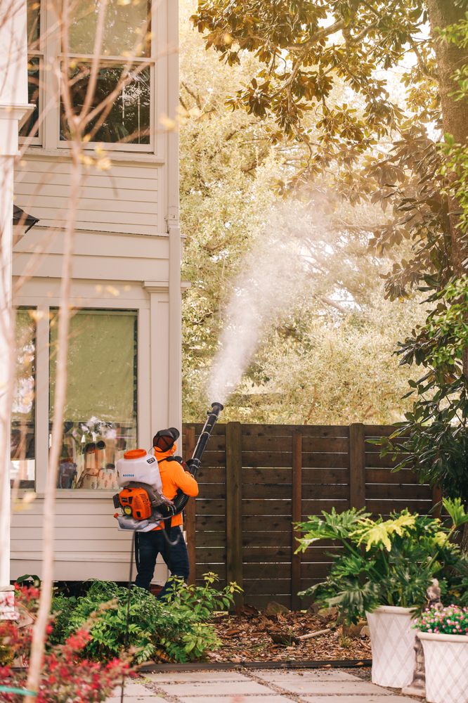 MOSQUITO ELITE - Updated July 2025 - Request a Quote - 46 Photos - Lake ...