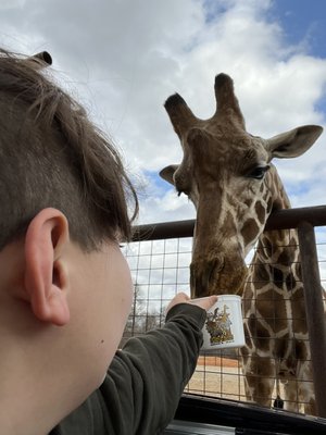 LAZY 5 RANCH - Updated December 2025 - 880 Photos & 302 Reviews - 15100 ...