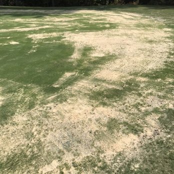 THE GOLF CLUB AT CHAPEL RIDGE - Updated September 2025 - 111 Photos ...